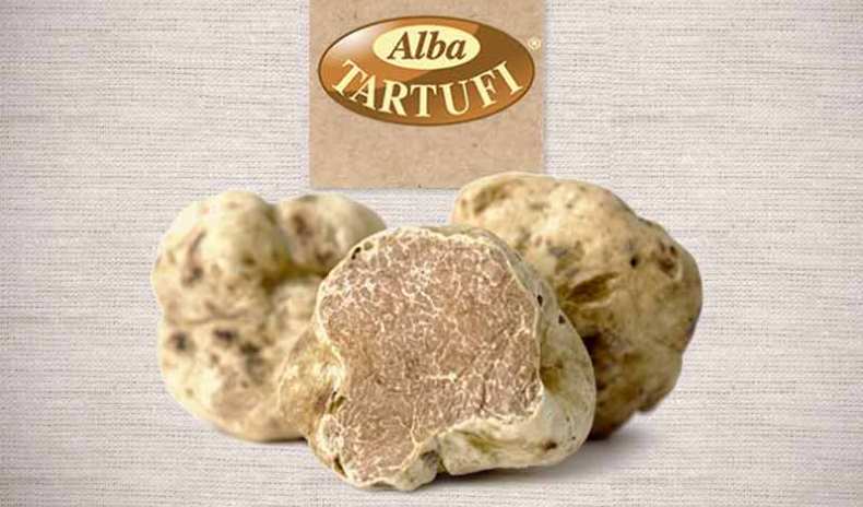 ALBA TRUFFLE TOUR